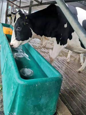 China Cow Frost Proof Thermal 98KG Cattle Water Drinkers 560mm Heated Water Trough for sale