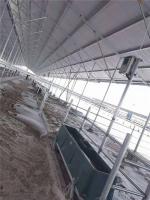 China 1.8m Large Plastic Water Trough Sheep Animal Husbandry Equipment for sale