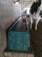China 1.8m Large Plastic Water Trough Sheep Animal Husbandry Equipment for sale