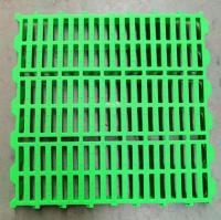 China Farming 200kgs Plastic Slatted Goat Flooring Poultry 500mm for sale