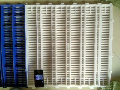 China SCL Plastic Slat Floor Poultry 7cm Animal Husbandry Equipment for sale