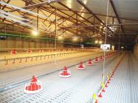 China PSF Goat Farming Plastic Flooring 50mm Plastic Slatted Flooring For Sheep for sale