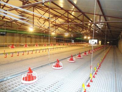 China PSF Goat Farming Plastic Flooring 50mm Plastic Slatted Flooring For Sheep for sale