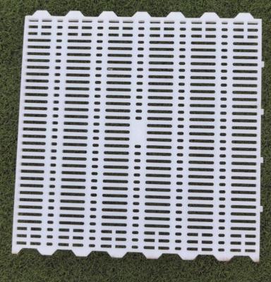 China Goat Sheep PP 200kgs Plastic Slat Floor 500mm Hog Flooring Plastic for sale