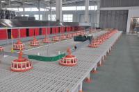 China PSF Goat Farming Plastic Flooring 50mm Plastic Slatted Flooring For Sheep for sale