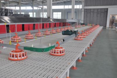 China PSF-01 50mm Plastic Slat Floor Poultry Broilers For Piglet for sale