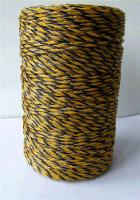 China Ss Poly Electric Fence Wire 2mm Cattle Multi Strands Rope for sale