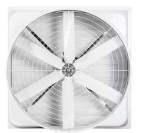 China Chicken Fiberglass 650mm Ventilation Cooling Fan 370W Industrial Exhaust Fan for sale