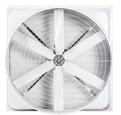 China Chicken Fiberglass 650mm Ventilation Cooling Fan 370W Industrial Exhaust Fan for sale