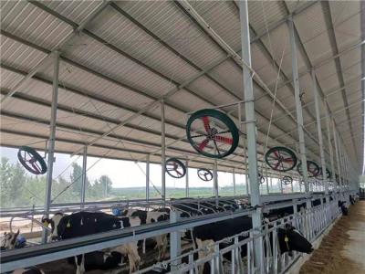 China Ss Pe Hanging Ventilation Fan VC 101 Pe 485W Cow Shed Fans for sale