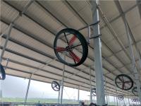 China Dairy Farm 480W Ventilation Cooling Fan 920mm Industrial Ventilation Exhaust Fan for sale