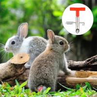 China Red 8mm Hose Poultry Water Drinkers Plastic ABS Rabbit Nipple Waterer for sale