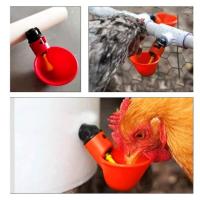 China Plastic PP Tee Water Drinking Dispenser Heat Resistance For Quail Pigeon for sale