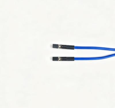 China 2.54mm Female To Female Dupont Jumper Wire, Single Core for sale