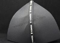 China 0.4mm/0.5mm 3D Lenticular TPU Embossed Patches for Baseball Caps with Oeko-Tex Certification for sale