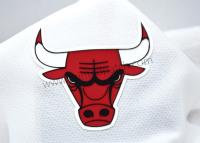 China Realistic TPU Heat Transfer Label Animal 2D 3D Bull Head Pattern for sale