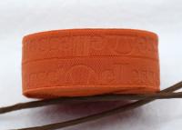 China 25mm Nylon Elastic Webbing with Custom Silicone Logo - OEKO-TEX Certified for Cycling Wear for sale