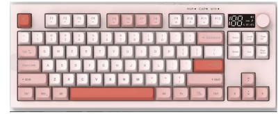 China Dual-mode Backlit Keyboard Made Of ABS Material With Reinforced Iron Plate Silver-paste Waterproof for sale