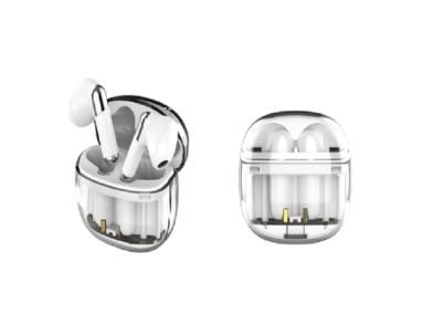 China 13mm Dynamic Drivers Dual-Mic ENC TWS Earbuds with 4H Playtime and 250mAh Charging Case for sale