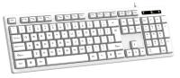 China Office Membrane Keyboard, ABS 475 Housing, Carbon/ Silver Paste Film, 1.5M Cable (Wired) or Wireless,Screen/Laser Printed Keycaps for sale