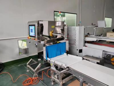 China Food X Ray Inspection Equipment For Industrial Detection Of All Metals Glass for sale