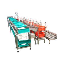 China High Accurate Checkweigher Conveyor For Packing Weighing Machine for sale