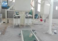 China Tile Adhesive Powder Dry Mortar Equipment Industrial Mixer for sale