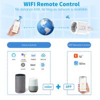 China EU Smart Plug with Voice/App Control, 16A Load Current, and Dual-Band WiFi for Smart Home Automation for sale