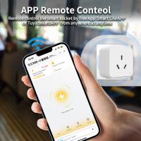 China AU Smart Plug: WiFi/Energy Monitor, 16A, Voice/App Control, Timer for sale