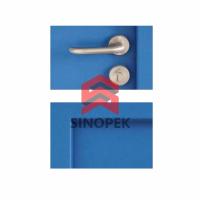 China Airtight Single-Leaf Steel Cleanroom Door | Flush Mount | GMP Standard for sale