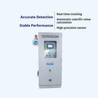 China Real Time Industrial Gas Analysis System Multi Gas Detector Customizable for sale