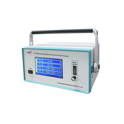 China Portable Metal Calorific Value Multi Gas Analyzer CO2 CH4 DP CnHm Natural Gas Detector for sale