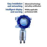 China Explosion Proof Hydrogen Gas Detector Alarm 0-100ppm Range H2 Gas Monitor Alarm for sale