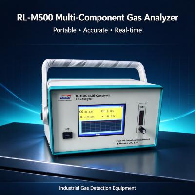 China Portable Multi Gas Detector O2 CO CO2 CH4 CnHm H2S H2 NH3 DP For Petrochemical Coal Mine Power Plant for sale