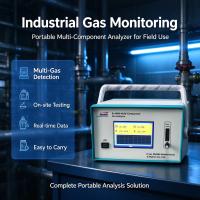 China Portable Multi Gas Detector O2 CO CO2 CH4 CnHm H2S H2 NH3 DP For Petrochemical Coal Mine Power Plant for sale