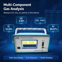 China Portable Multi Gas Detector O2 CO CO2 CH4 CnHm H2S H2 NH3 DP For Petrochemical Coal Mine Power Plant for sale
