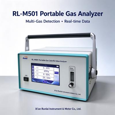 China Metal Portable Multi Gas Analyzer Calorific Value Gas Analyzer For CO CO2 H2 O2 CH4 for sale