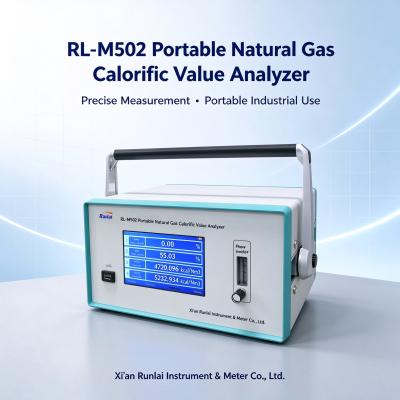 China Metal Multi Calorific Value Portable Gas Analyzer CO2 CH4 DP CnHm Natural Gas Detector for sale
