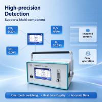 China Metal Calorific Value Portable Gas Analyzer Tester For CO2 CH4 H2S O2 Methane Gas Detection for sale