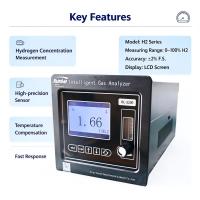 China H2 Portable Hydrogen Detector For Power Plant Petrochemical Customizable OEM ODM for sale