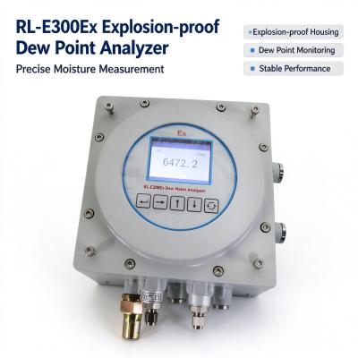 China Portable Explosion Proof Gas Analyzer Dew Point Meter Micro Water Analyzer For Chemical Industry for sale