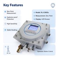 China Portable Explosion Proof Gas Analyzer Dew Point Meter Micro Water Analyzer For Chemical Industry for sale