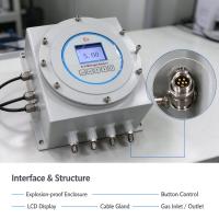 China Explosion Proof Oxygen O2 Gas Purity Analyzer EX d IIC T6 Gb Industrial Gas Detector for sale