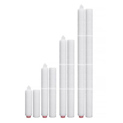 China PES Microporous Pleated Water Filter Cartridge 10