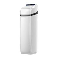 China Automatic 1T/H Home Water Softener Cabinet Salt Based Water Softening System for sale
