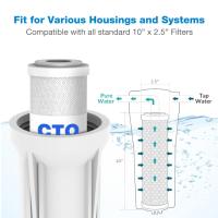 China Coconut Shell Activated Carbon CTO Water Filter Cartridge Replacement 20