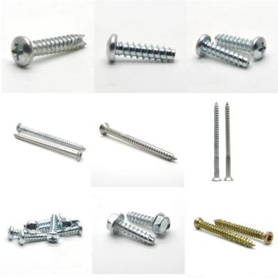 China Customized Concrete Self Tapping Screws ASME/DIN/GB/ISO/UNI Standard for sale