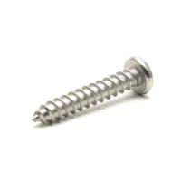 China Custom Non Standard Fasteners Stainless Bolts Screws Rivets Nails for sale