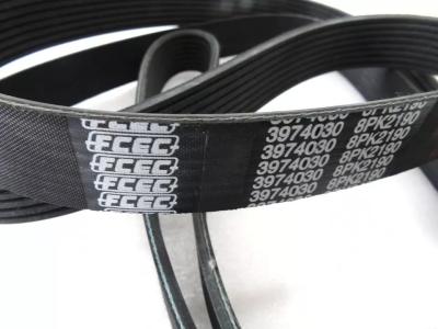China Belt 3974030 for sale