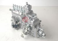 China 4063844 Cummins Fuel Pump Standard Size For Excavator 6BT5.9 Silver Color for sale